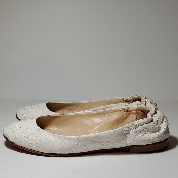Mauro Volponi | Shoes | Mauro Volponi White Snake Ballet Flat | Poshmark